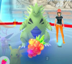 Golden Razz Berry | Pokémon GO Hub