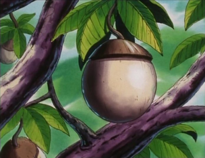 Conceptual Pokéball Mechanic: Apricorns, Upgrade for Premium Balls ...