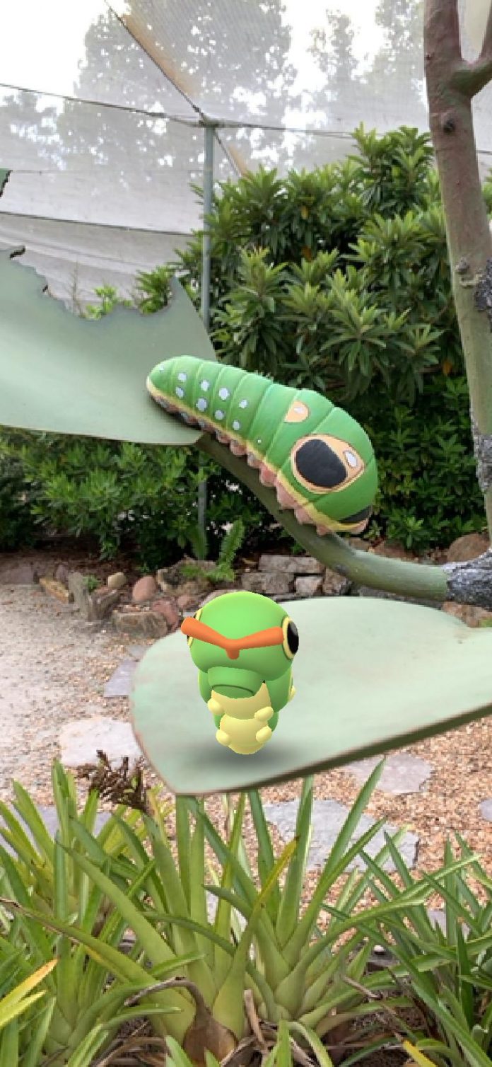 Bug Catcher AR Feature | Pokémon GO Hub