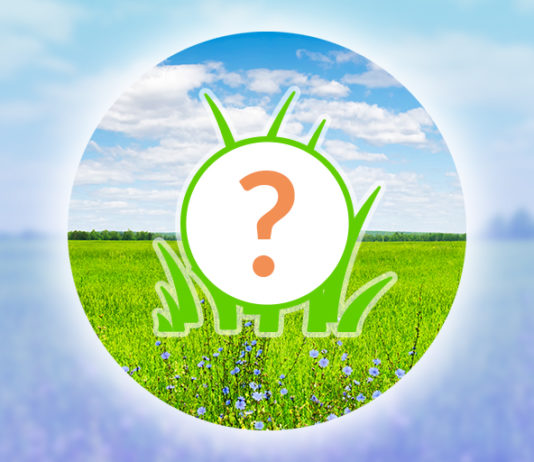 Pokemon GO Hub | Pokemon GO News, Updates, Guides, Tips and Tricks