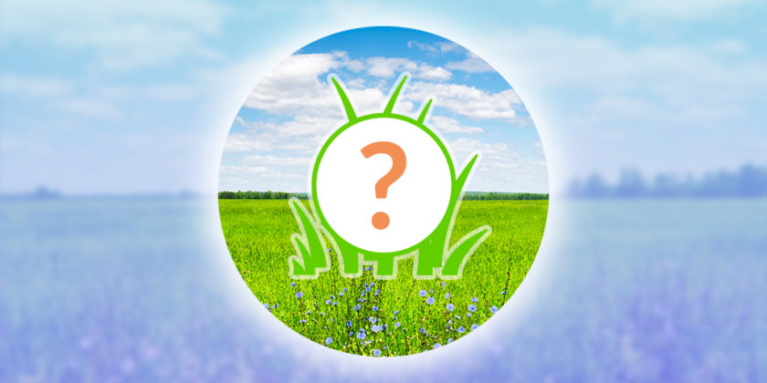 Pokémon GO July 2023 Event Guide | Pokémon GO Hub