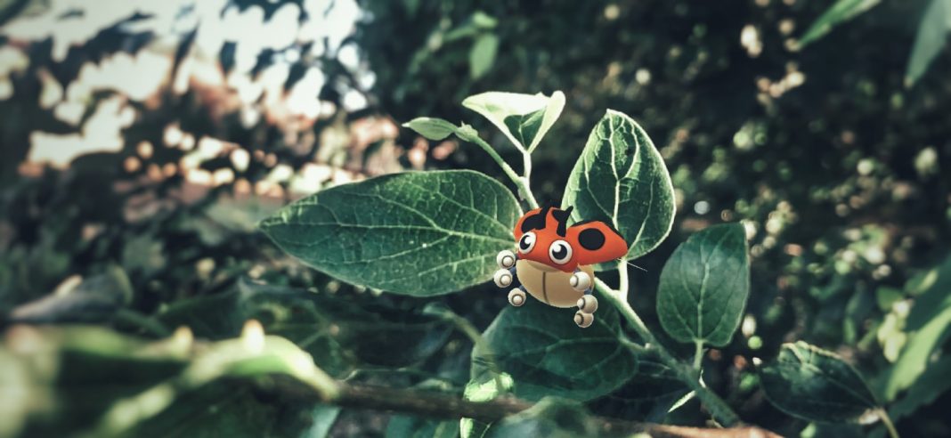 Tiny Pokémon AR Feature | Pokémon GO Hub