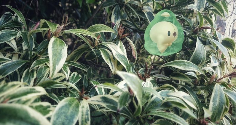 Solosis Spotlight Hour (June 2025): Last Minute Guide | Pokémon GO Hub