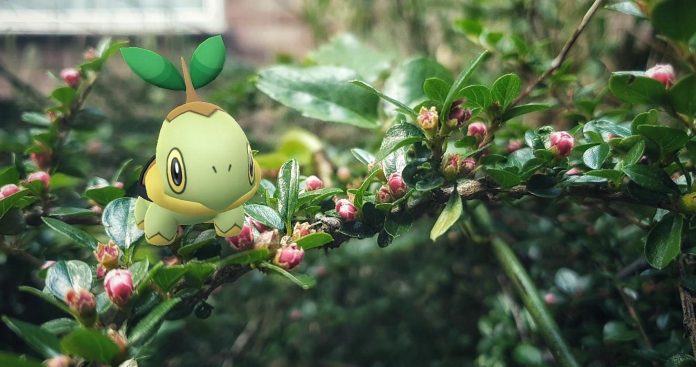 Nifty Or Thrifty: Little Cup PvP Guide | Pokémon GO Hub