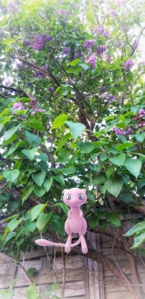 The Lore of Mew | Pokémon GO Hub