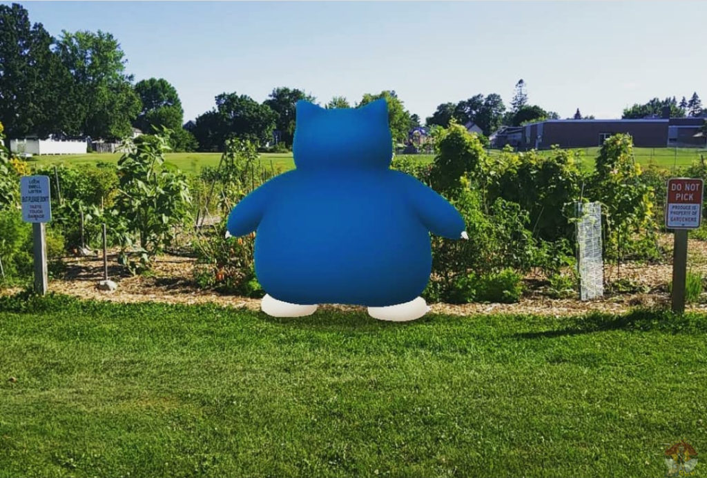 The Lore of Snorlax | Pokémon GO Hub