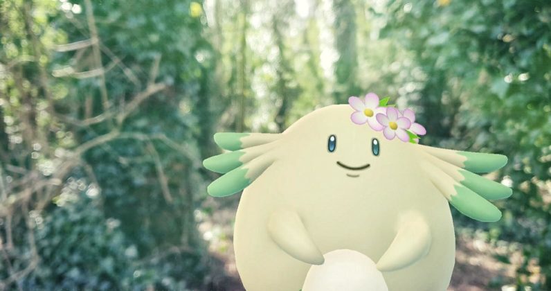 Pokémon GO Community Day February 2024: Chansey | Pokémon GO Hub