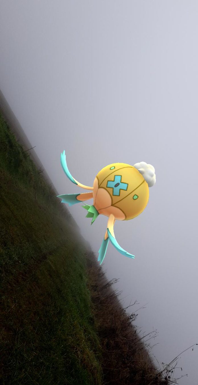Flying Type Pokémon AR Feature | Pokémon GO Hub