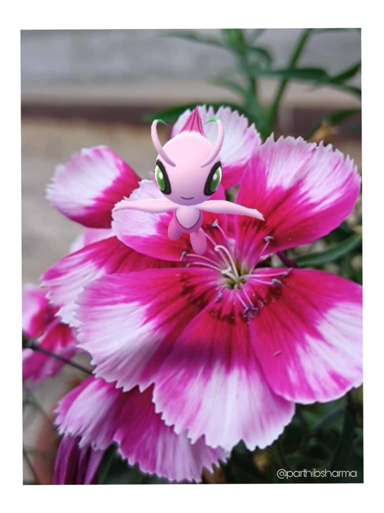 Pink/Purple AR Feature | Pokémon GO Hub