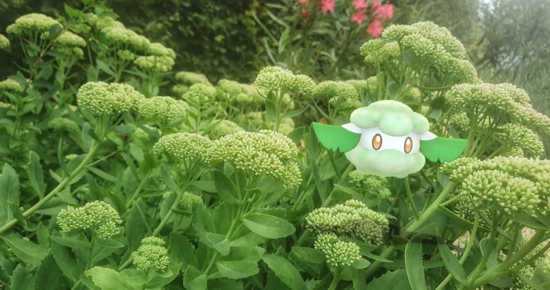 Cottonee Raid Guide | Pokémon GO Hub