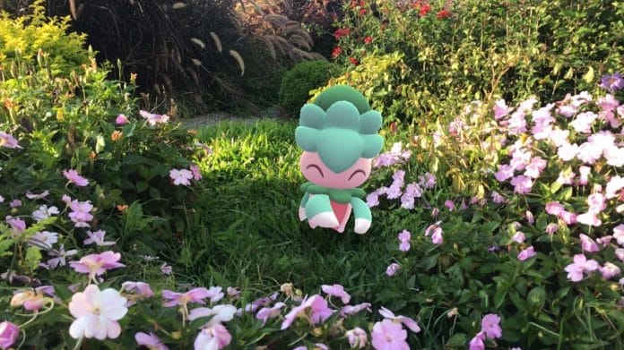 Grass Type Pokémon AR Feature | Pokémon GO Hub