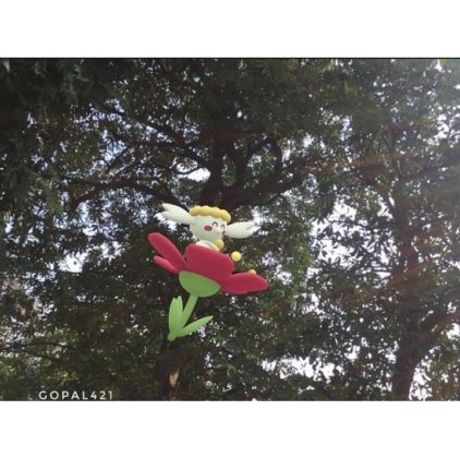 Grass Type Pokémon AR Feature | Pokémon GO Hub