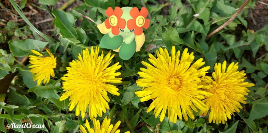 Grass Type Pokémon AR Feature | Pokémon GO Hub