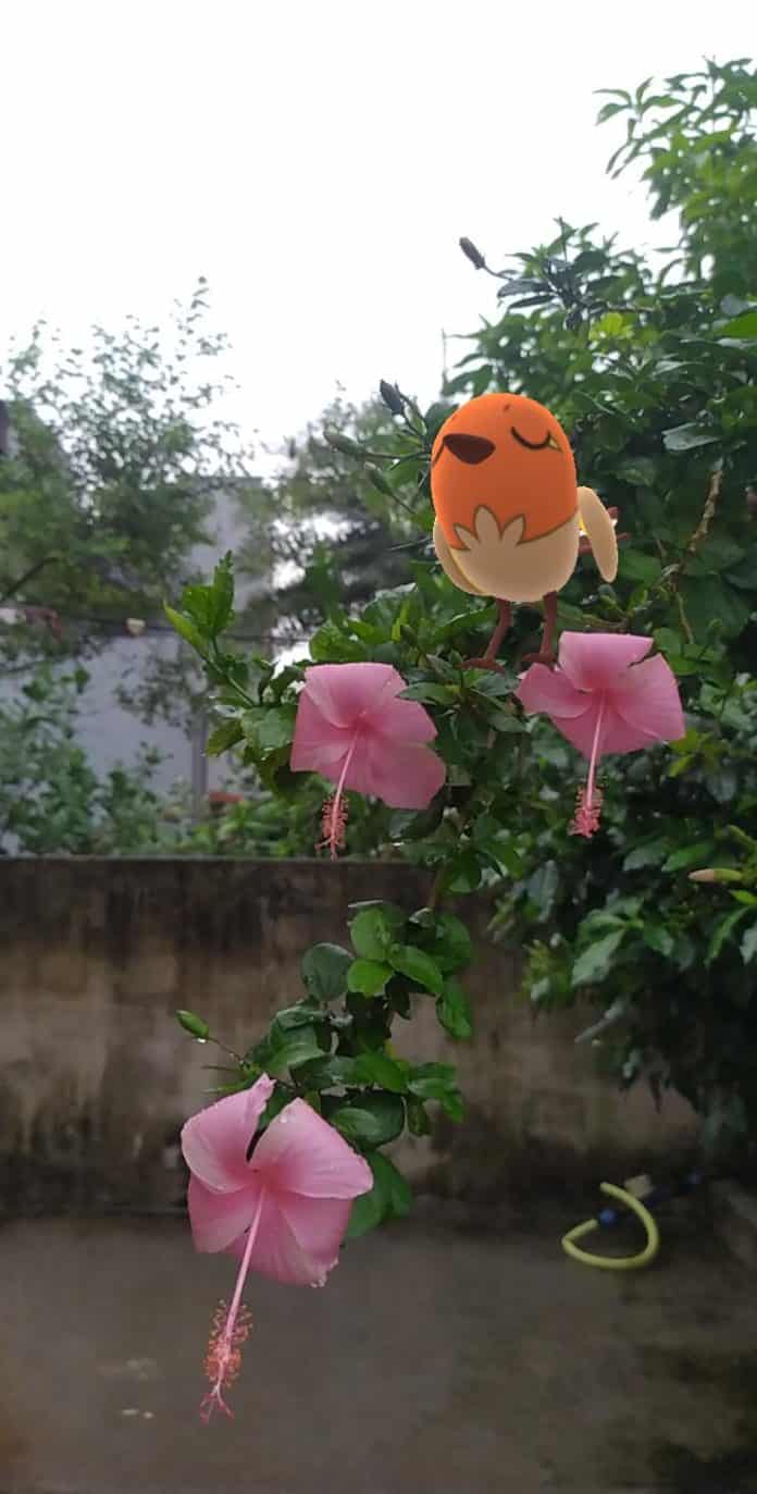 Red AR Showcase | Pokémon GO Hub