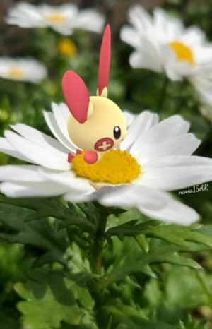 Red AR Showcase | Pokémon GO Hub