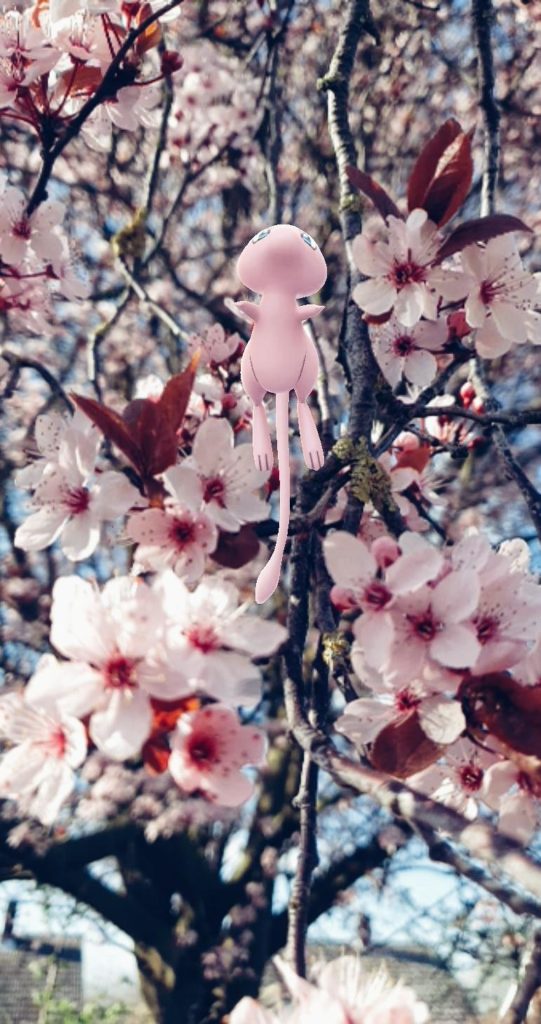 How to AR: Photographing Flying and Floating Pokémon | Pokémon GO Hub