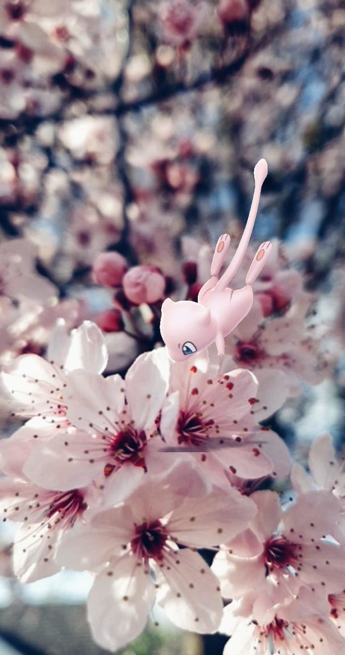 How to AR: Photographing Flying and Floating Pokémon | Pokémon GO Hub