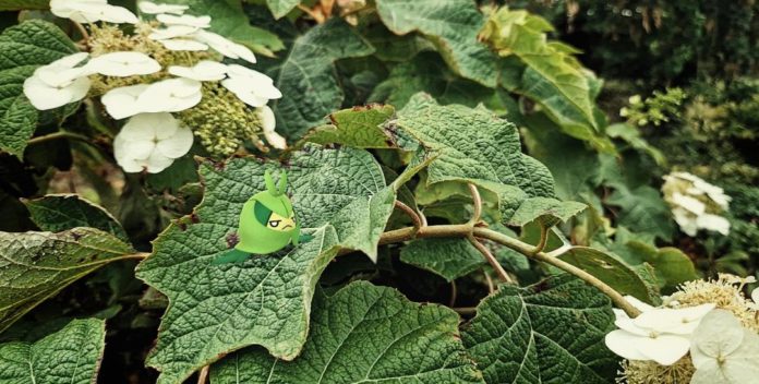 A PvP Analysis on Shadow Claw Leavanny (October Community Day ...