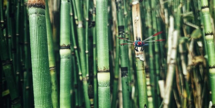 The Forgotten Pokémon Favourites: Part 20 | Pokémon GO Hub