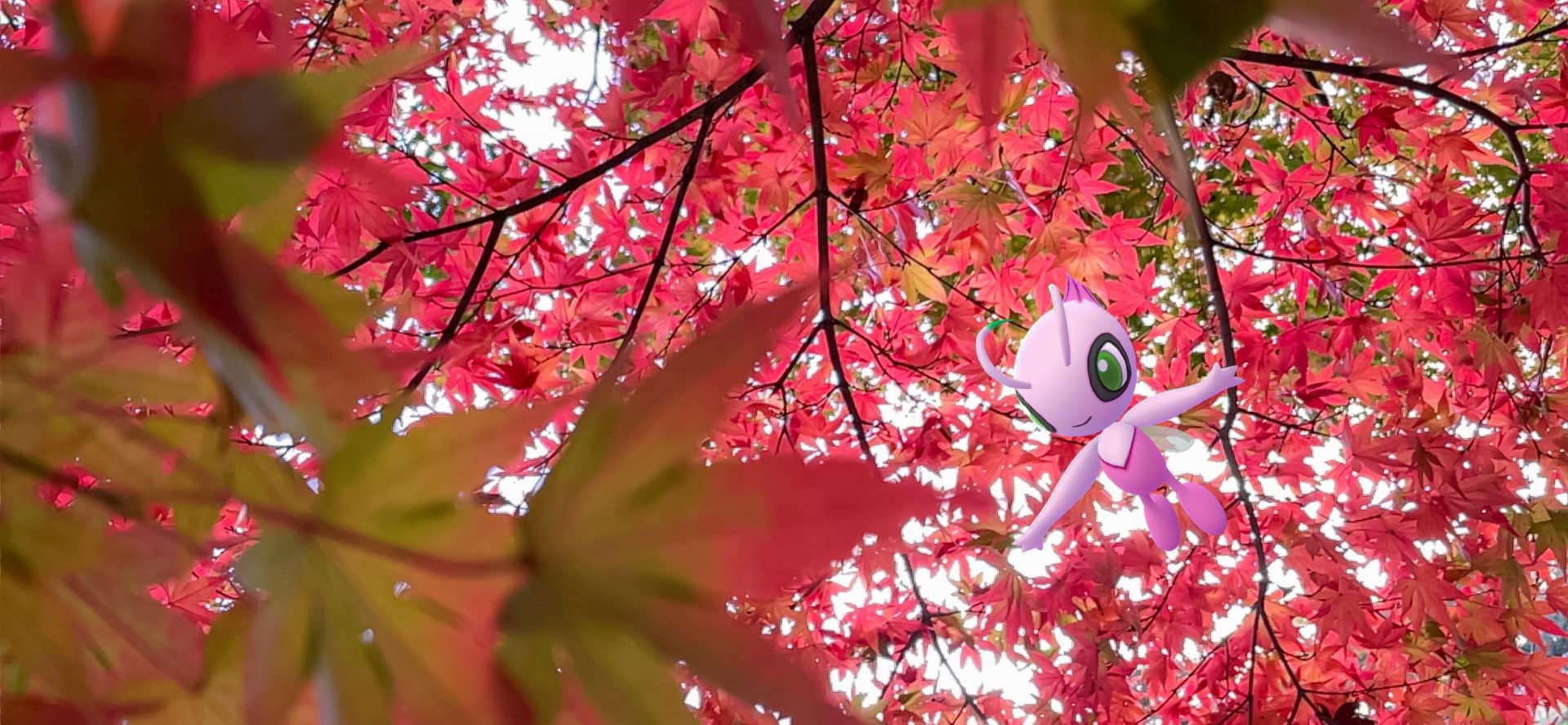 Legendary/Mythical/Ultra Beast AR Showcase | Pokémon GO Hub