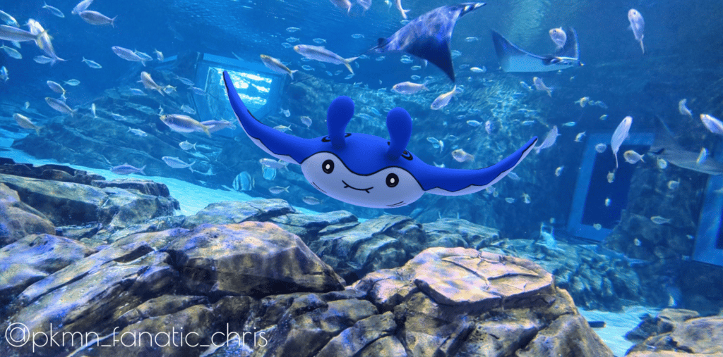 Best of 2022 AR Showcase | Pokémon GO Hub