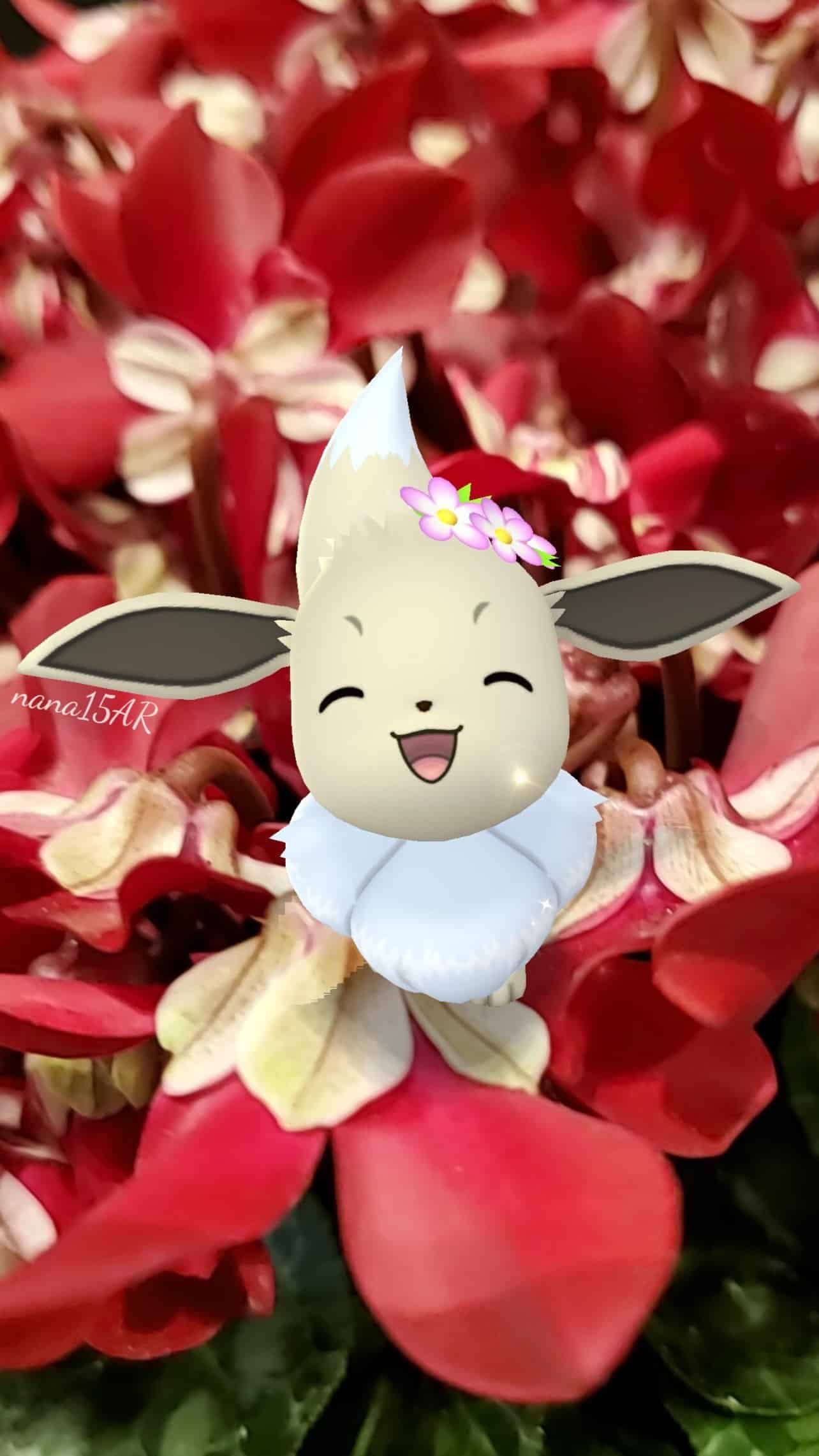 Best of 2022 AR Showcase | Pokémon GO Hub