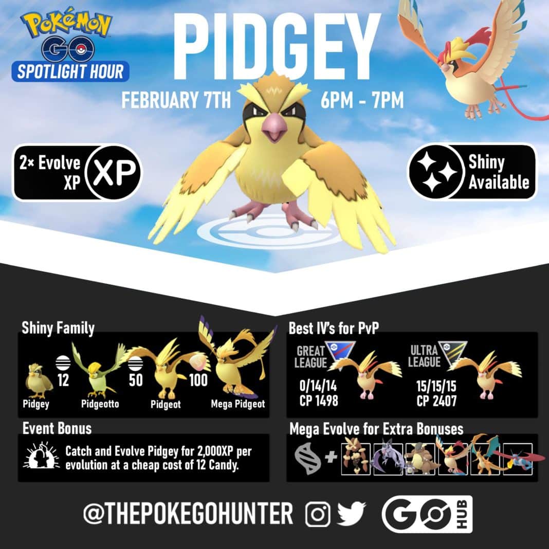 Pidgey Spotlight Hour (February 2023) | Pokémon GO Hub