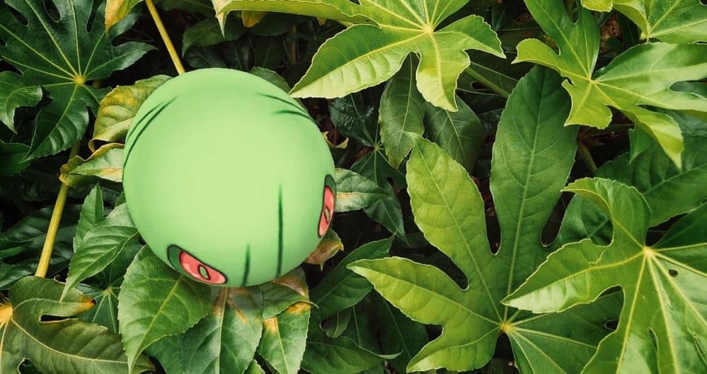 How to AR: From Above | Pokémon GO Hub