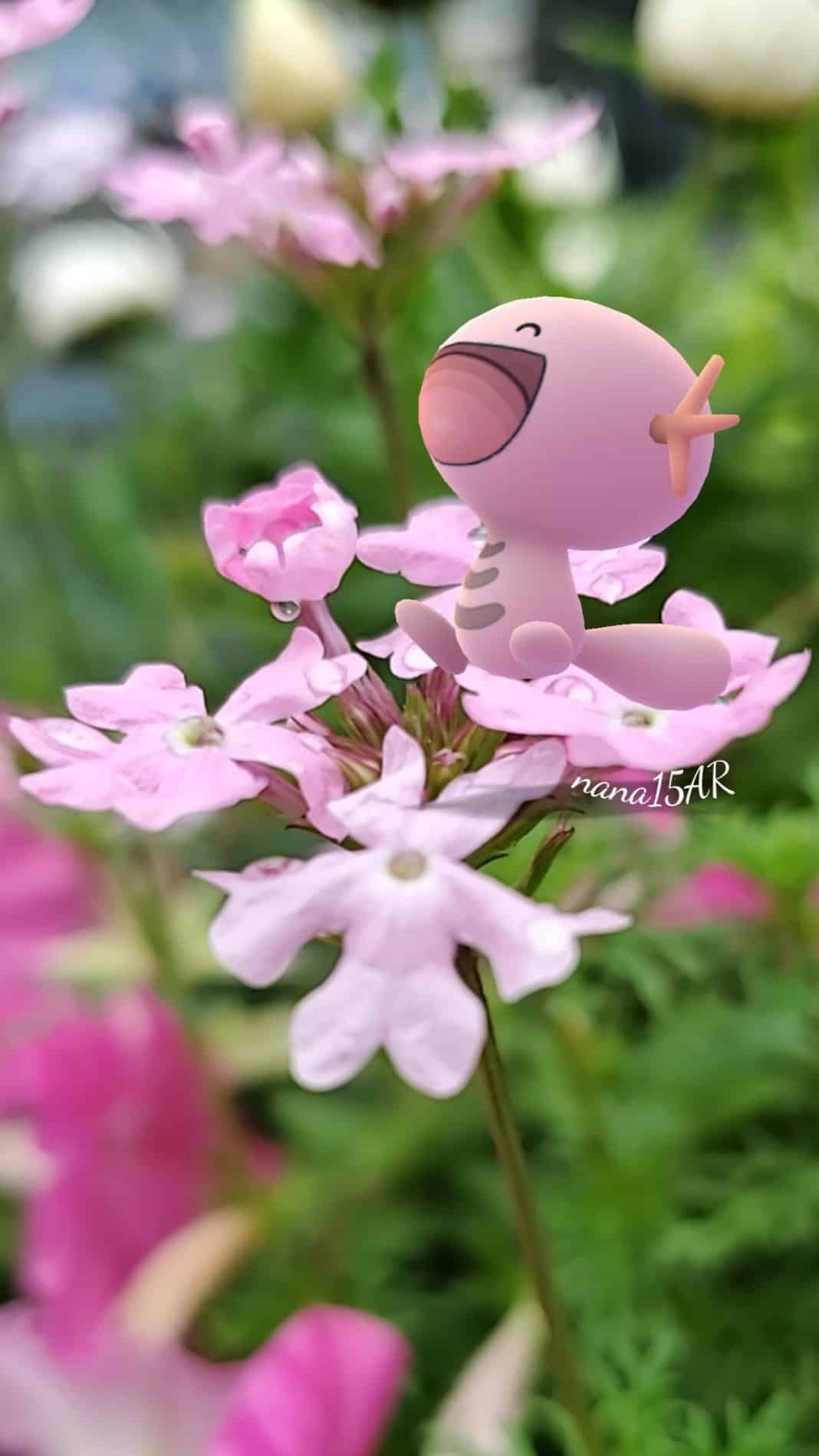 Open Theme Pokémon AR Showcase (2023) | Pokémon GO Hub