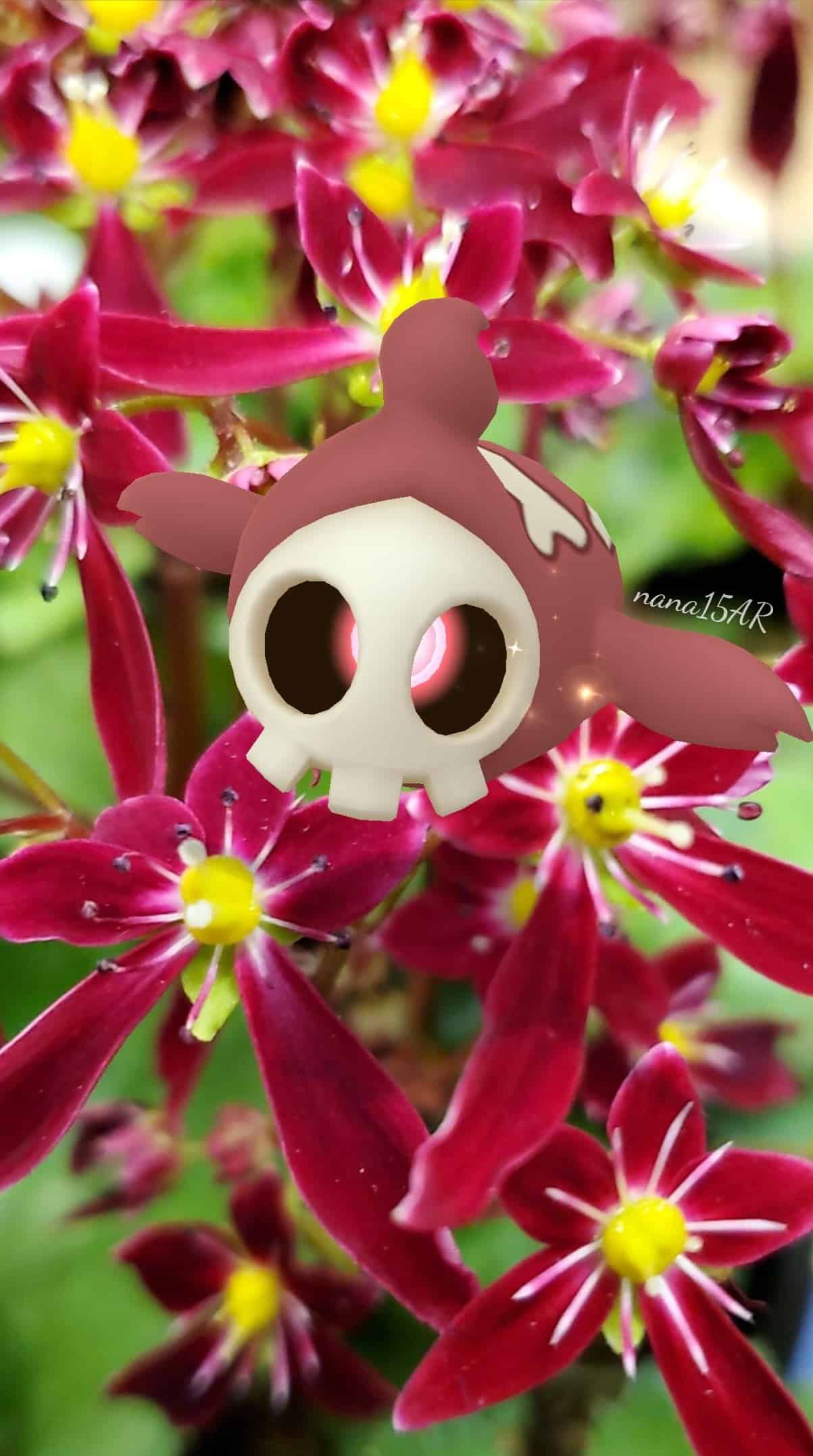 Halloween 2023 AR Showcase | Pokémon GO Hub