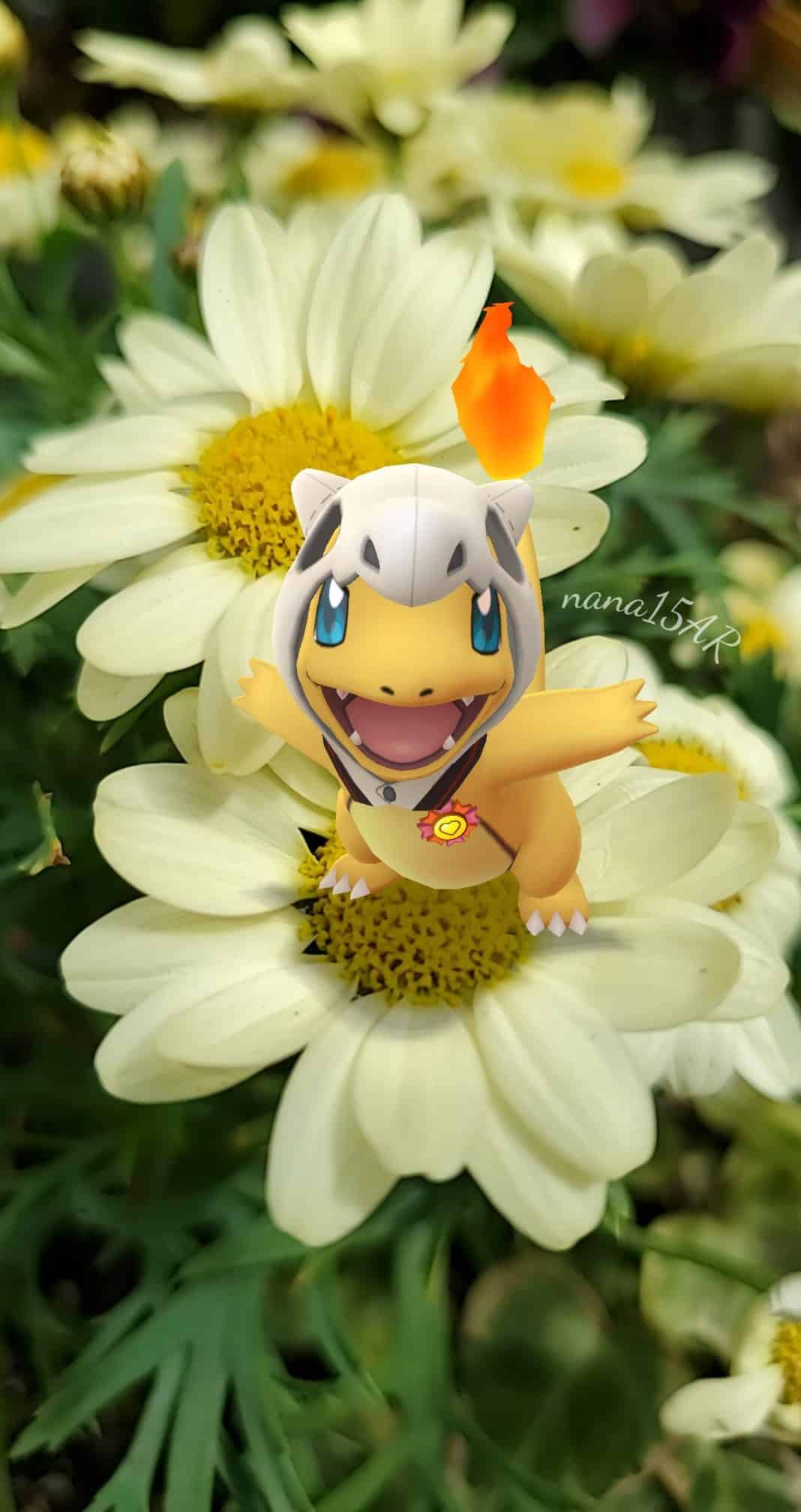 Fire Type Pokémon AR Showcase | Pokémon GO Hub