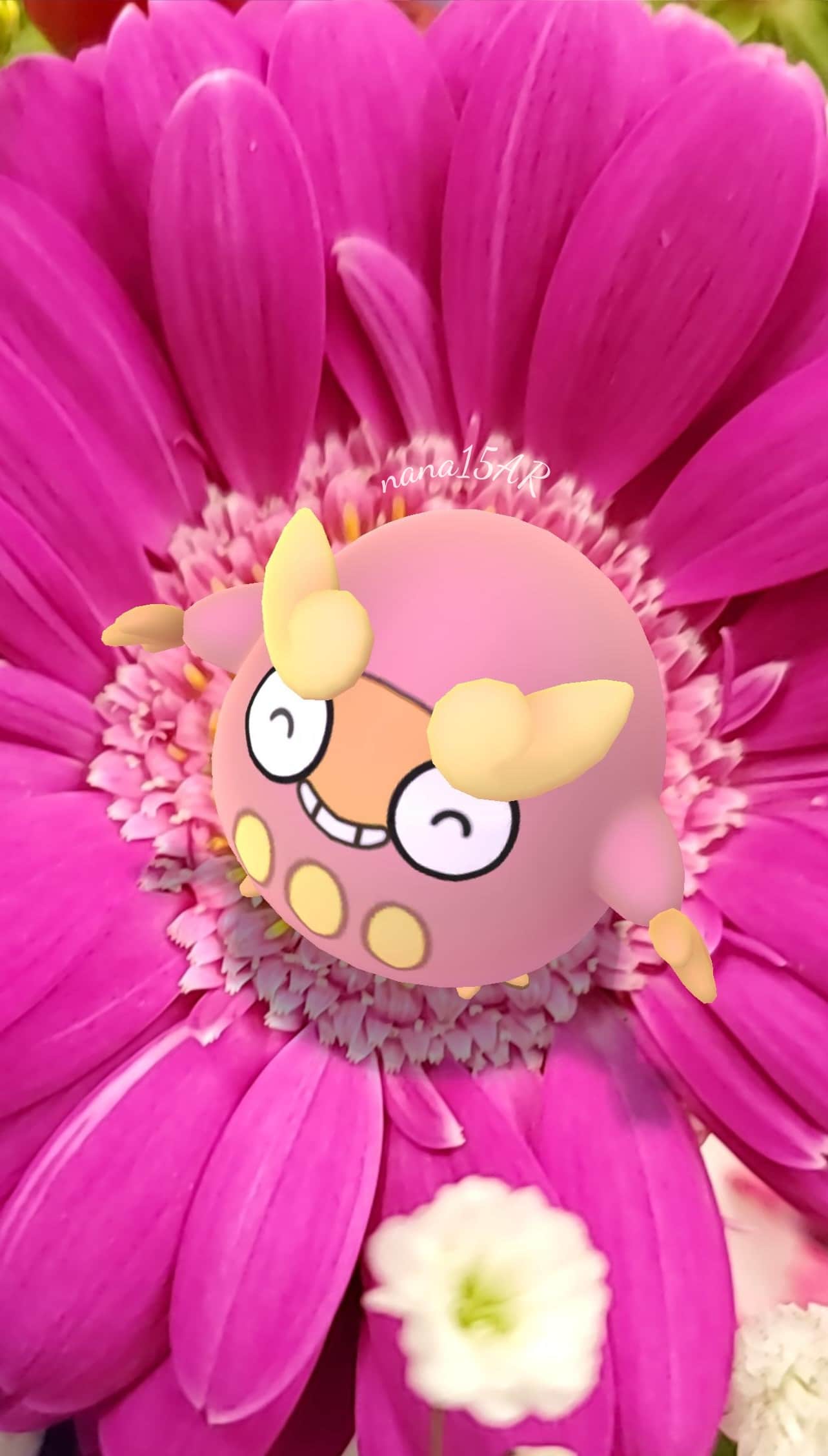 Fire Type Pokémon AR Showcase | Pokémon GO Hub