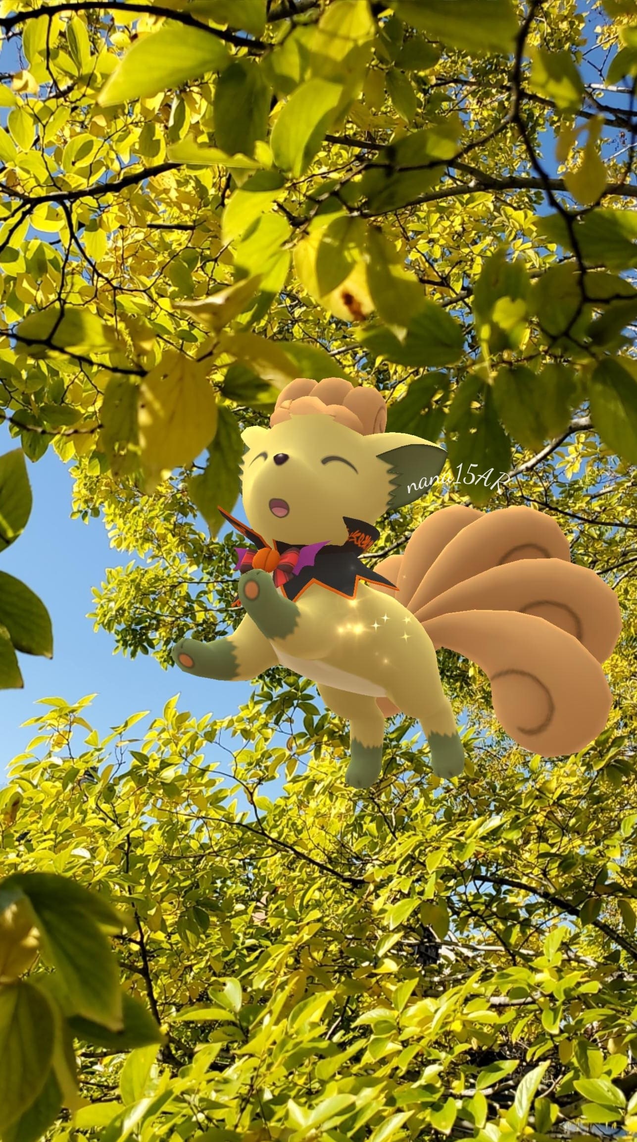 Fire Type Pokémon AR Showcase | Pokémon GO Hub