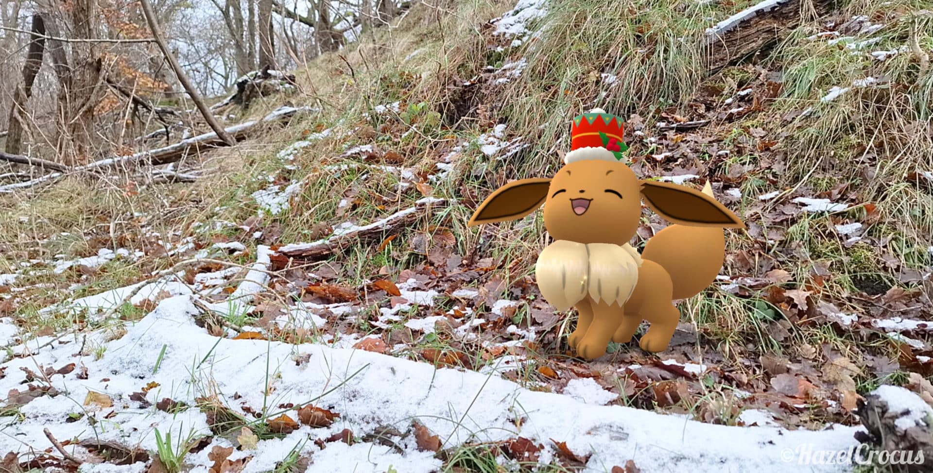 Winter 2023 AR Showcase | Pokémon GO Hub