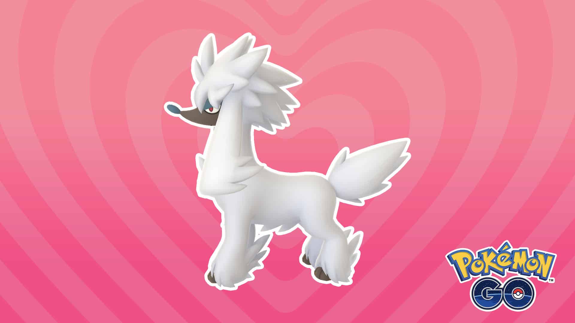 Furfrou Pokemon Evolution