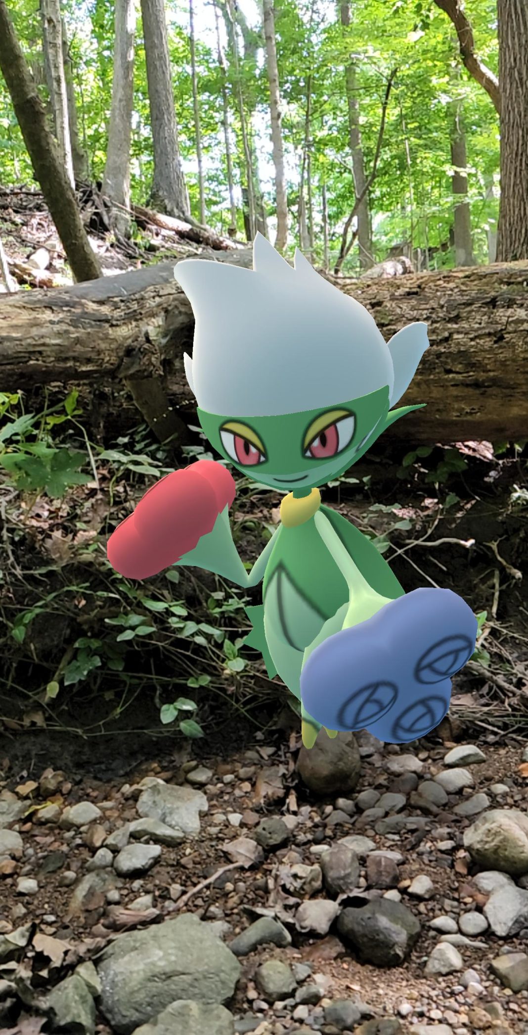 Sinnoh and Hisui Pokémon AR Showcase | Pokémon GO Hub