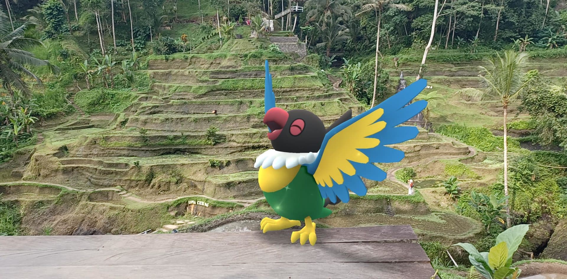 Sinnoh and Hisui Pokémon AR Showcase | Pokémon GO Hub