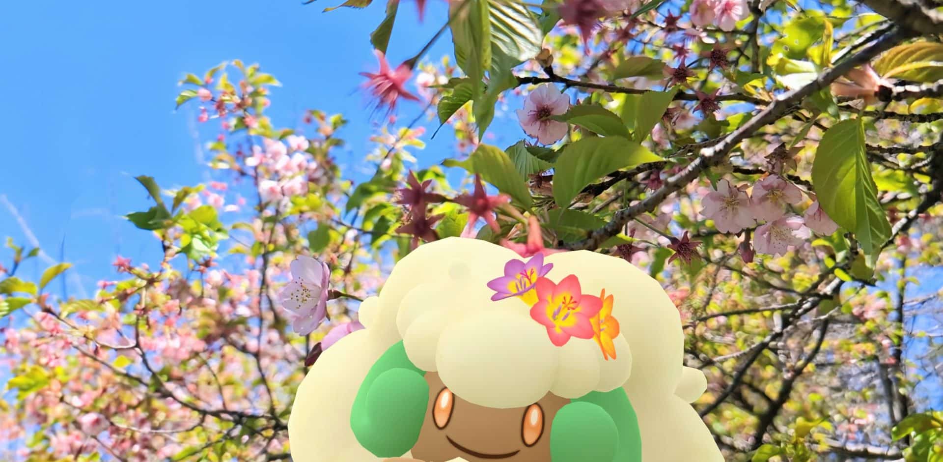 Spring 2024 AR Showcase | Pokémon GO Hub