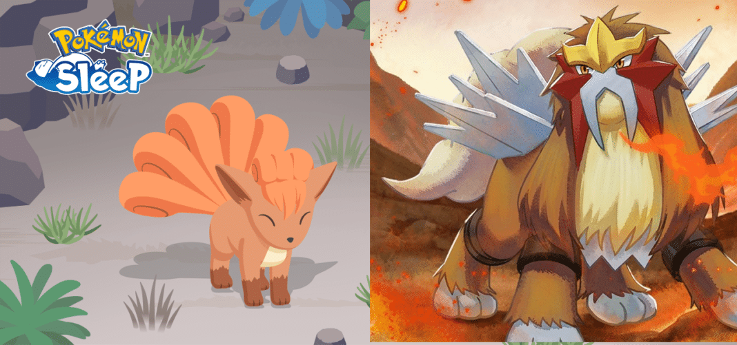Pokémon Sleep: Entei, Vulpix & Ninetales Debut, and More! | Pokémon GO Hub