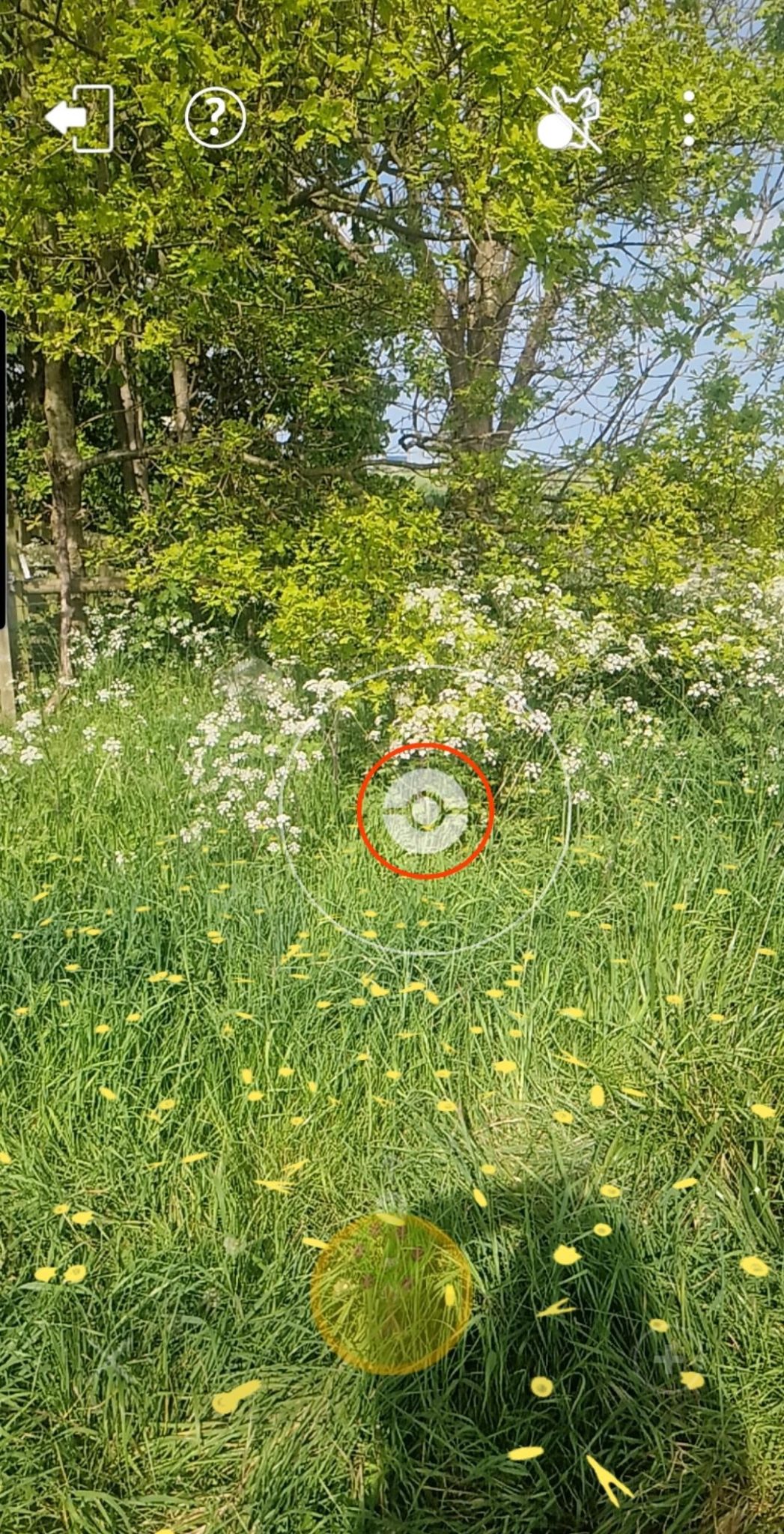 How to use the new AR Mode in Pokémon GO | Pokémon GO Hub