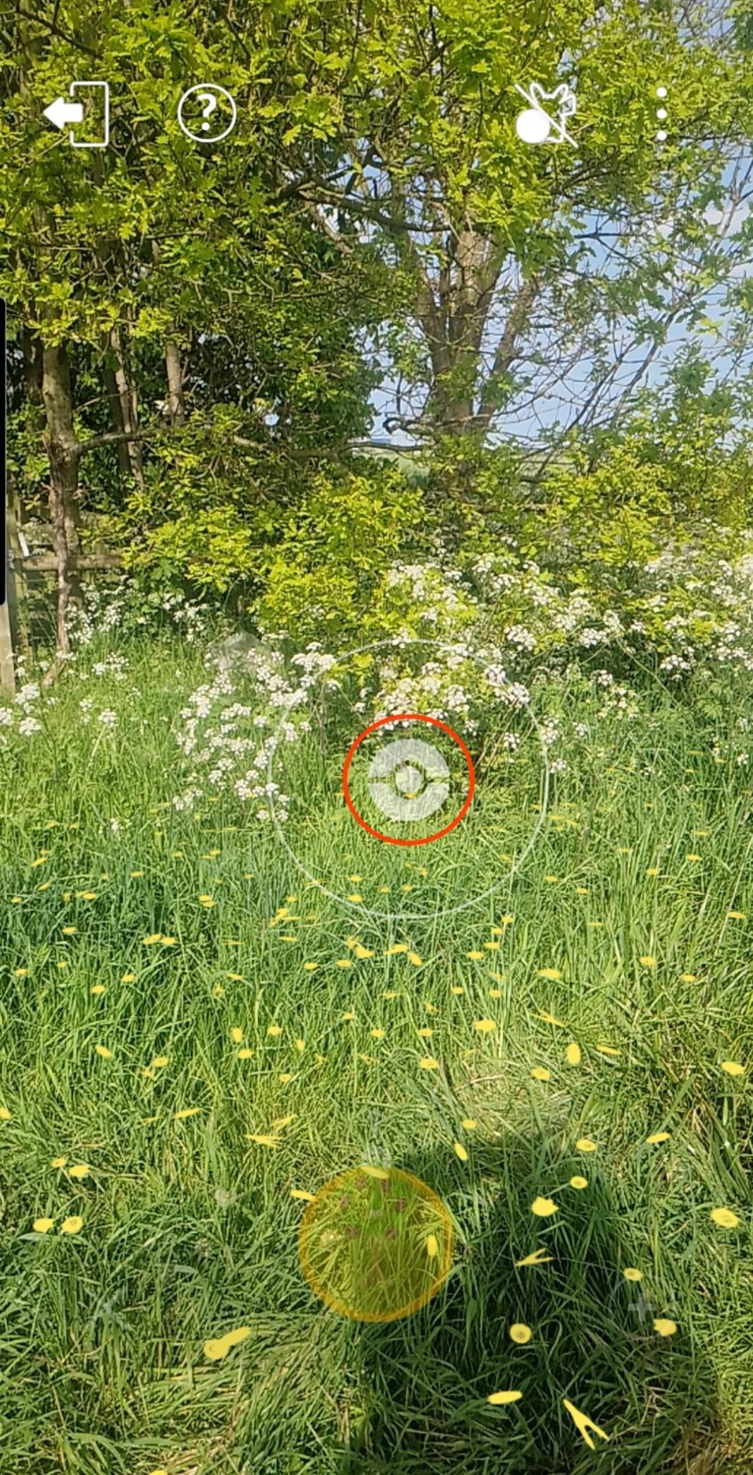 How to use the new AR Mode in Pokémon GO | Pokémon GO Hub