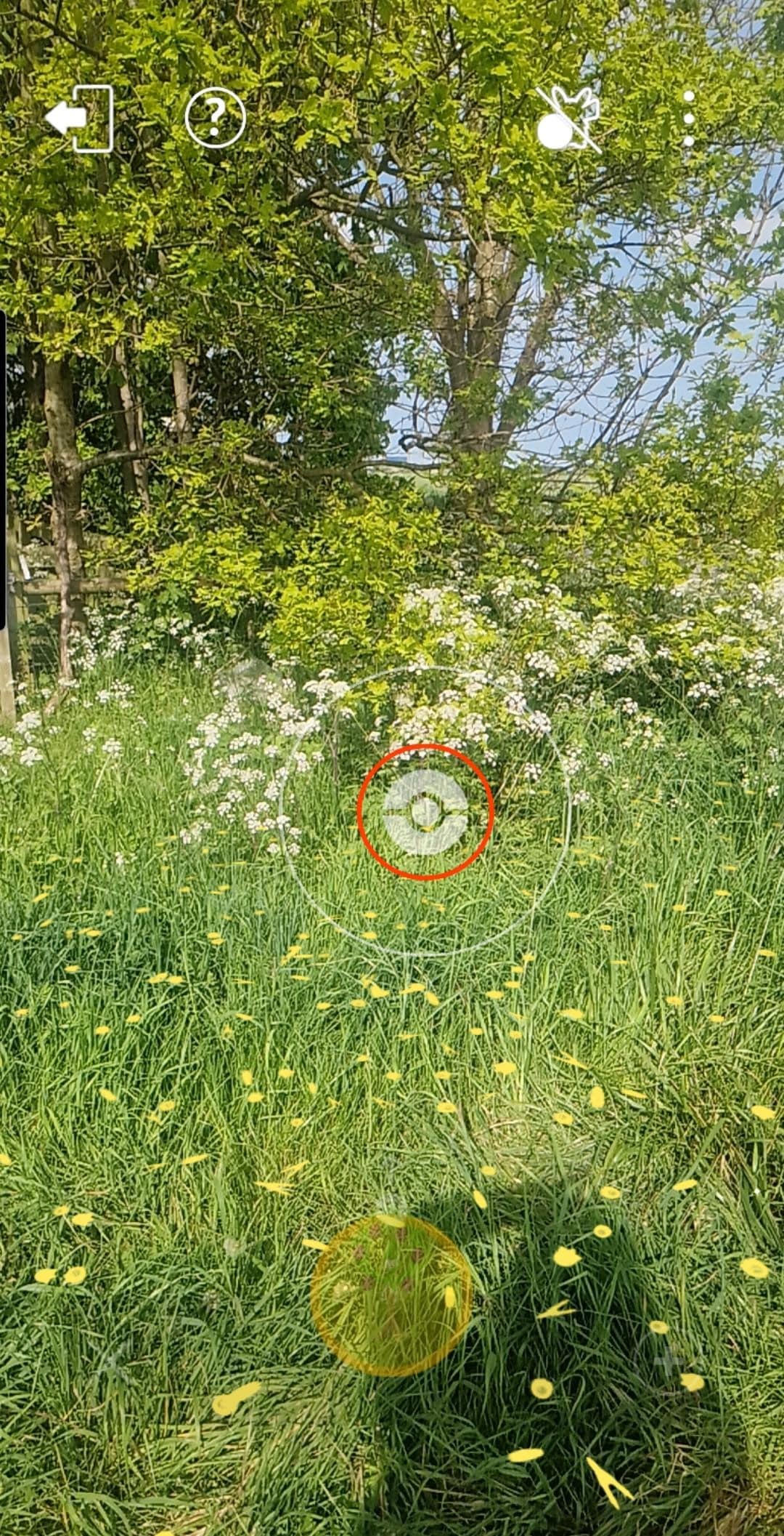 How to use the new AR Mode in Pokémon GO | Pokémon GO Hub