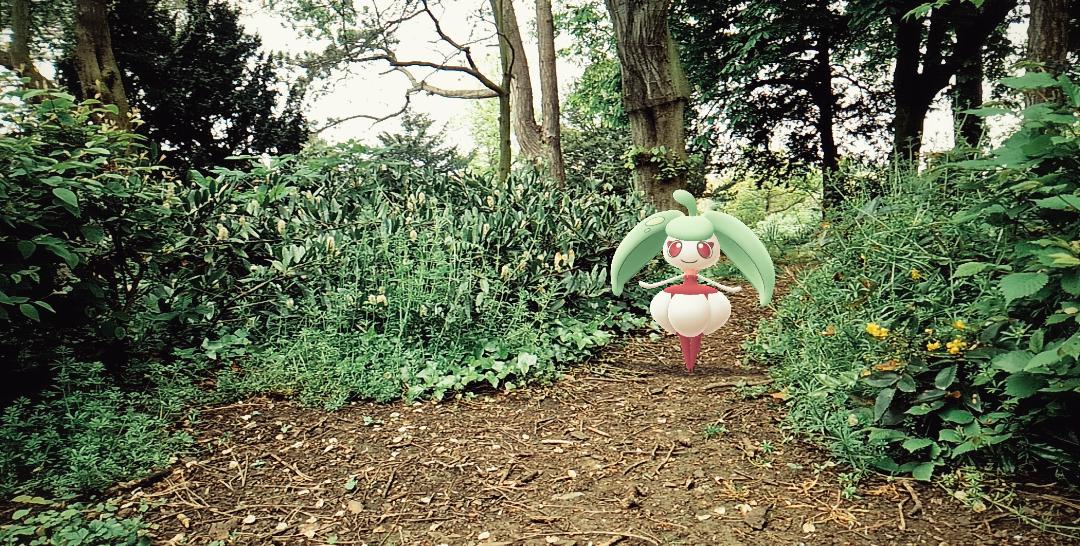 Steenee Community Day Raid Guide | Pokémon GO Hub