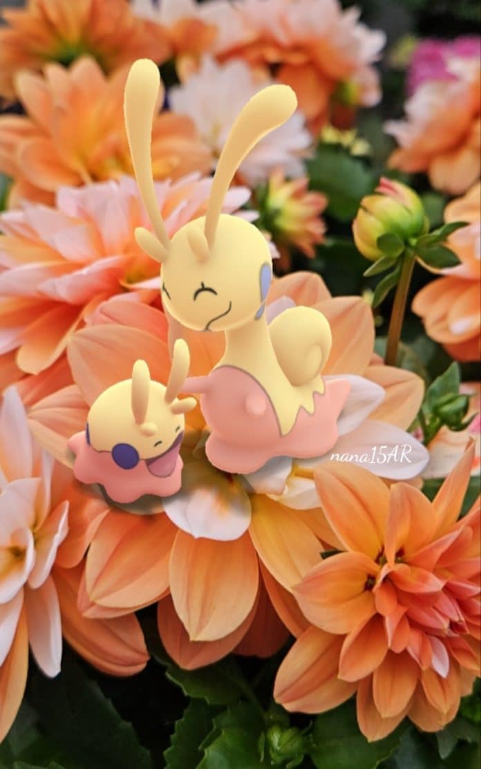 Multiple Pokémon AR Showcase | Pokémon GO Hub