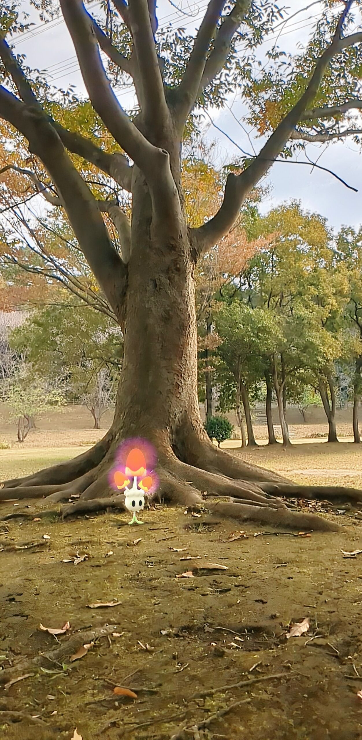 Autumn 2024 AR Showcase | Pokémon GO Hub