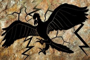 Galarian Legendary Bird Trio Lore, Mythology and More! | Pokémon GO Hub