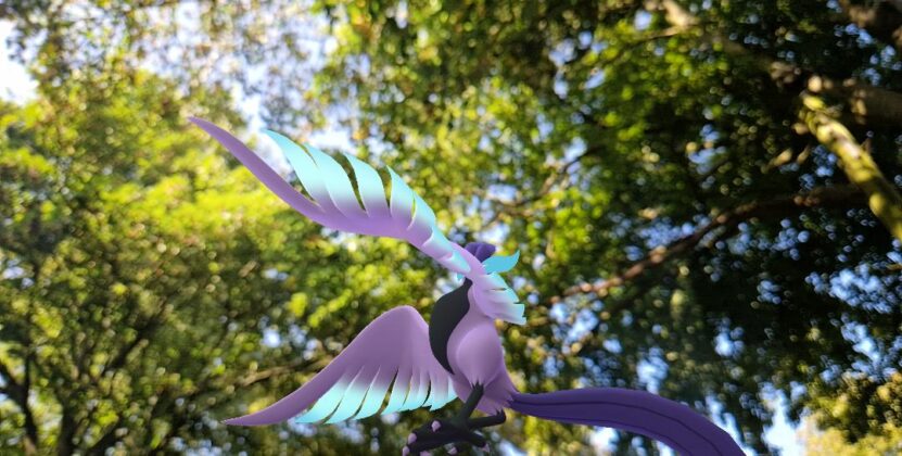 Galarian Legendary Bird Trio Lore, Mythology and More! | Pokémon GO Hub