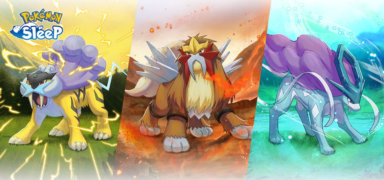Pokémon Sleep: Raikou, Entei, and Suicune Research | Pokémon GO Hub