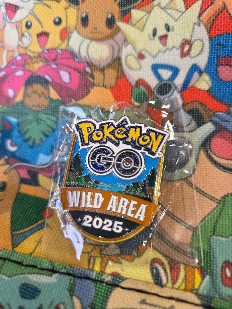 A Doncaster Pokémon GO Wild Area Adventure | Pokémon GO Hub